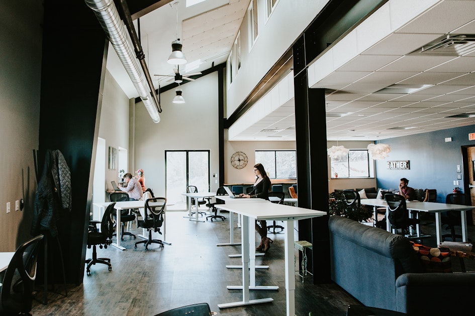 Terms of Service | Hub Ned